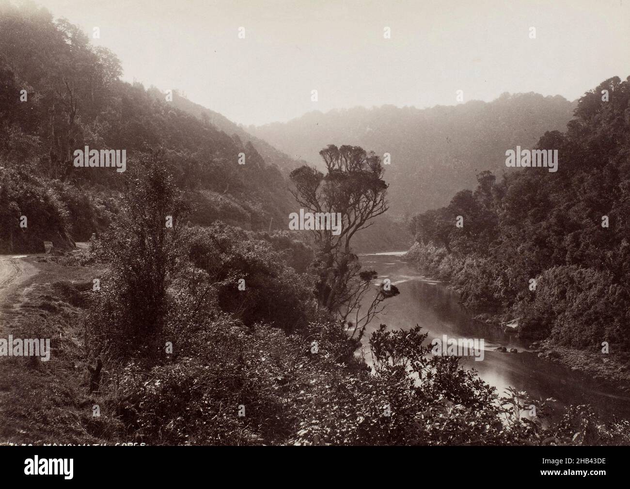 Manawatu Gorge, Burton Brothers studio, photography studio, New Zealand ...