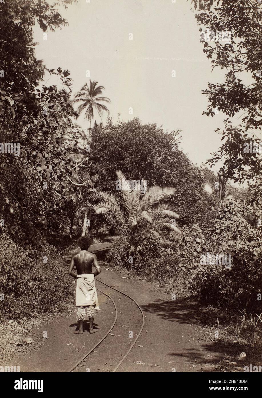 Mango [Mago], Fiji, Burton Brothers studio, photography studio, New ...