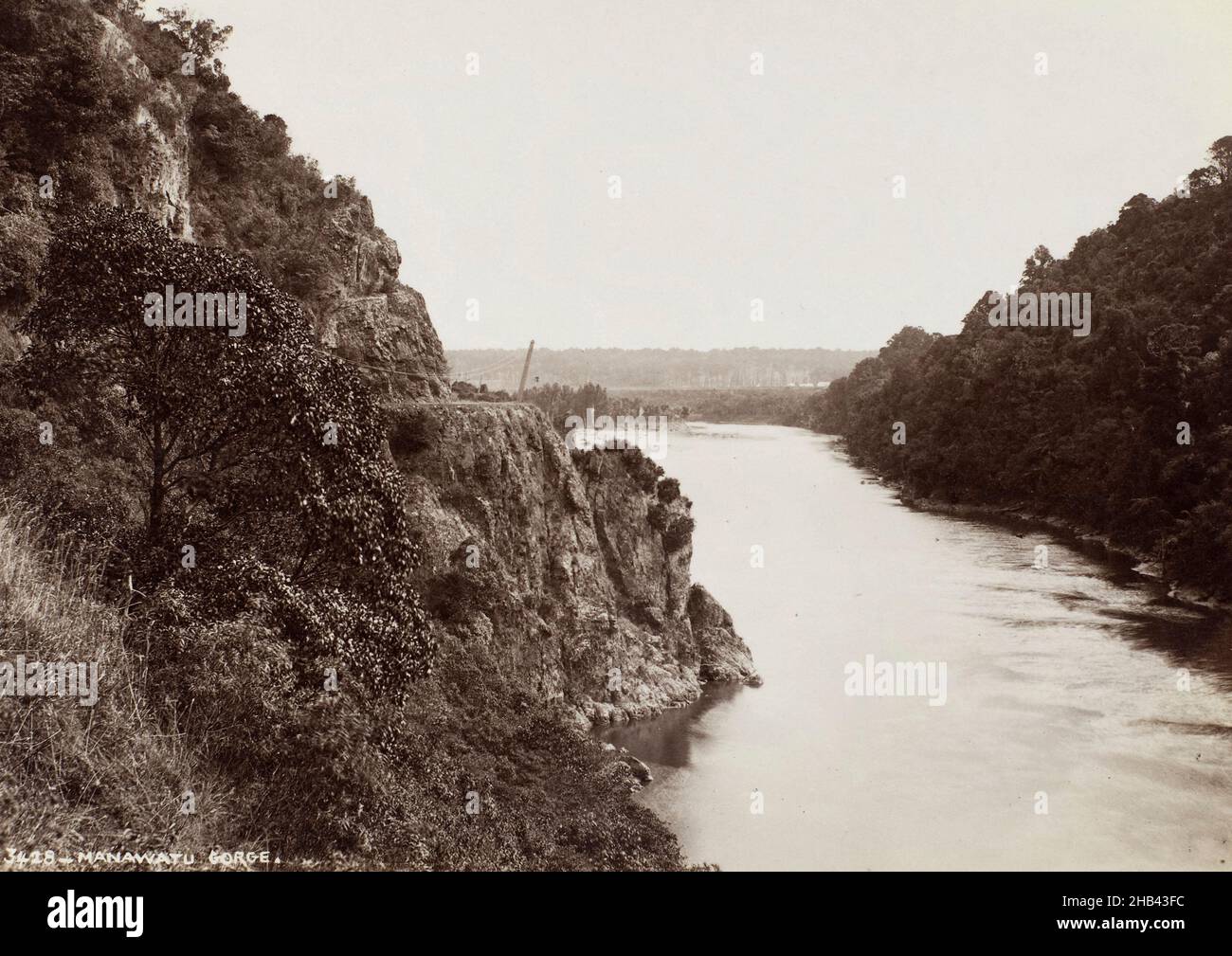 Native bush surrounds hi-res stock photography and images - Alamy