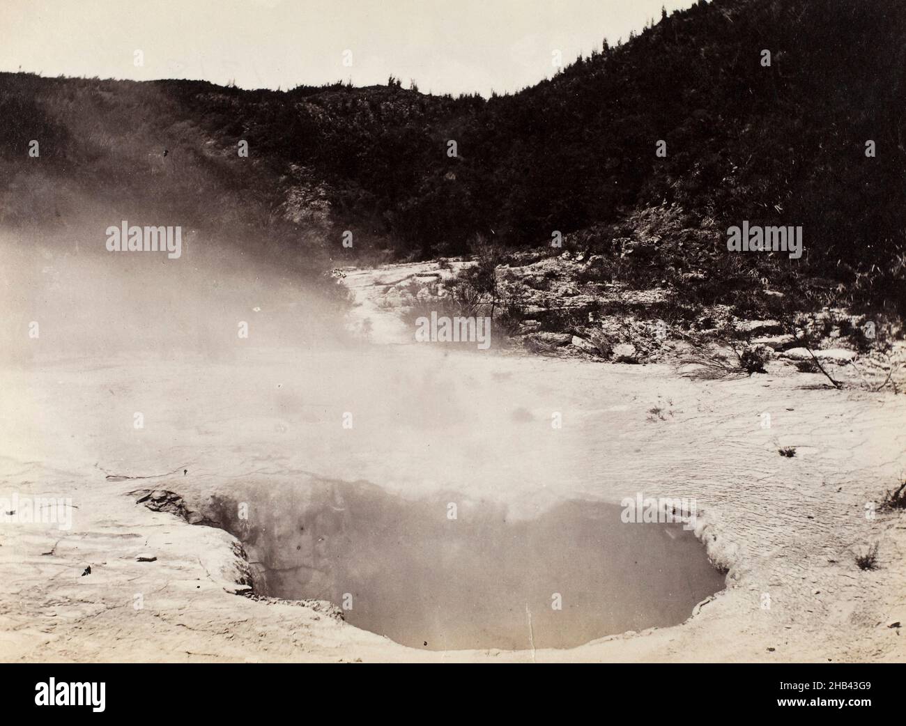 A geyser [sic], Burton Brothers studio, photography studio, New Zealand ...