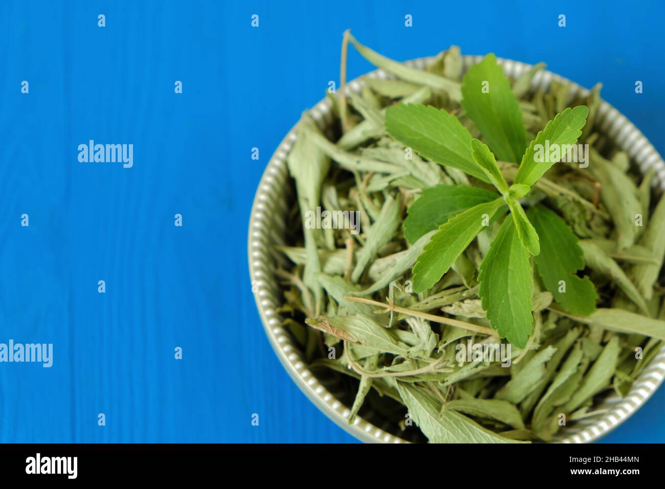 Stevia twig close-up in a round cup on blue background.Organic natural ...