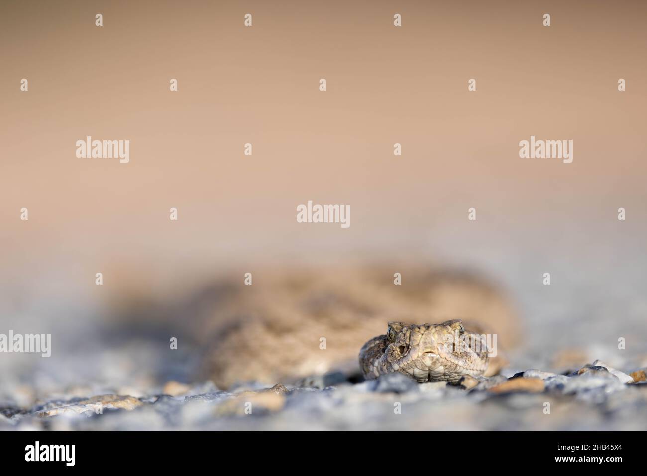 Corralitos ranch road hi-res stock photography and images - Alamy