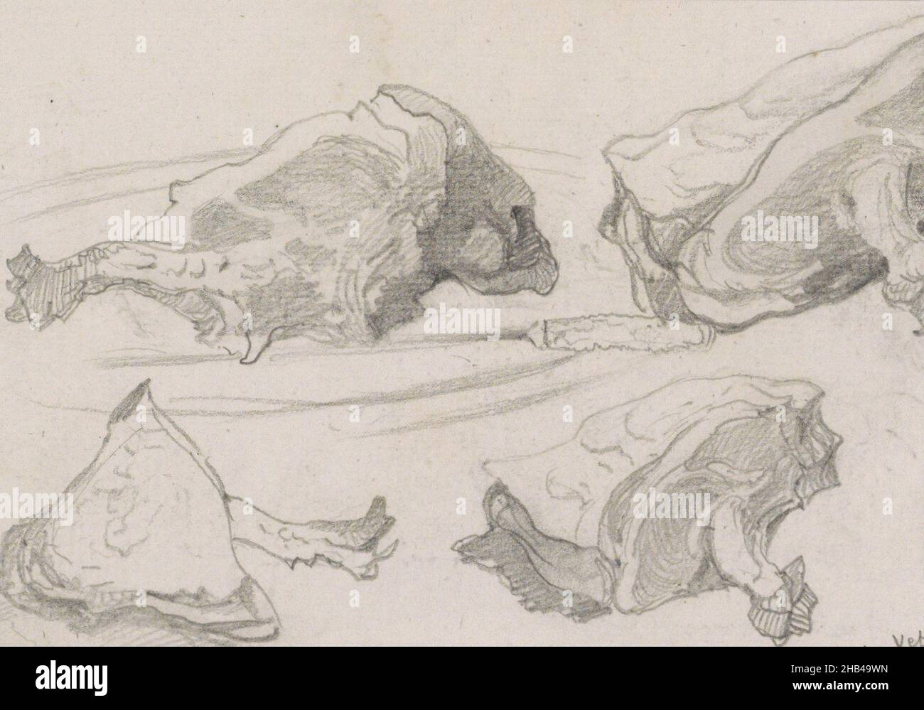 Sheet 80 recto hi-res stock photography and images - Alamy