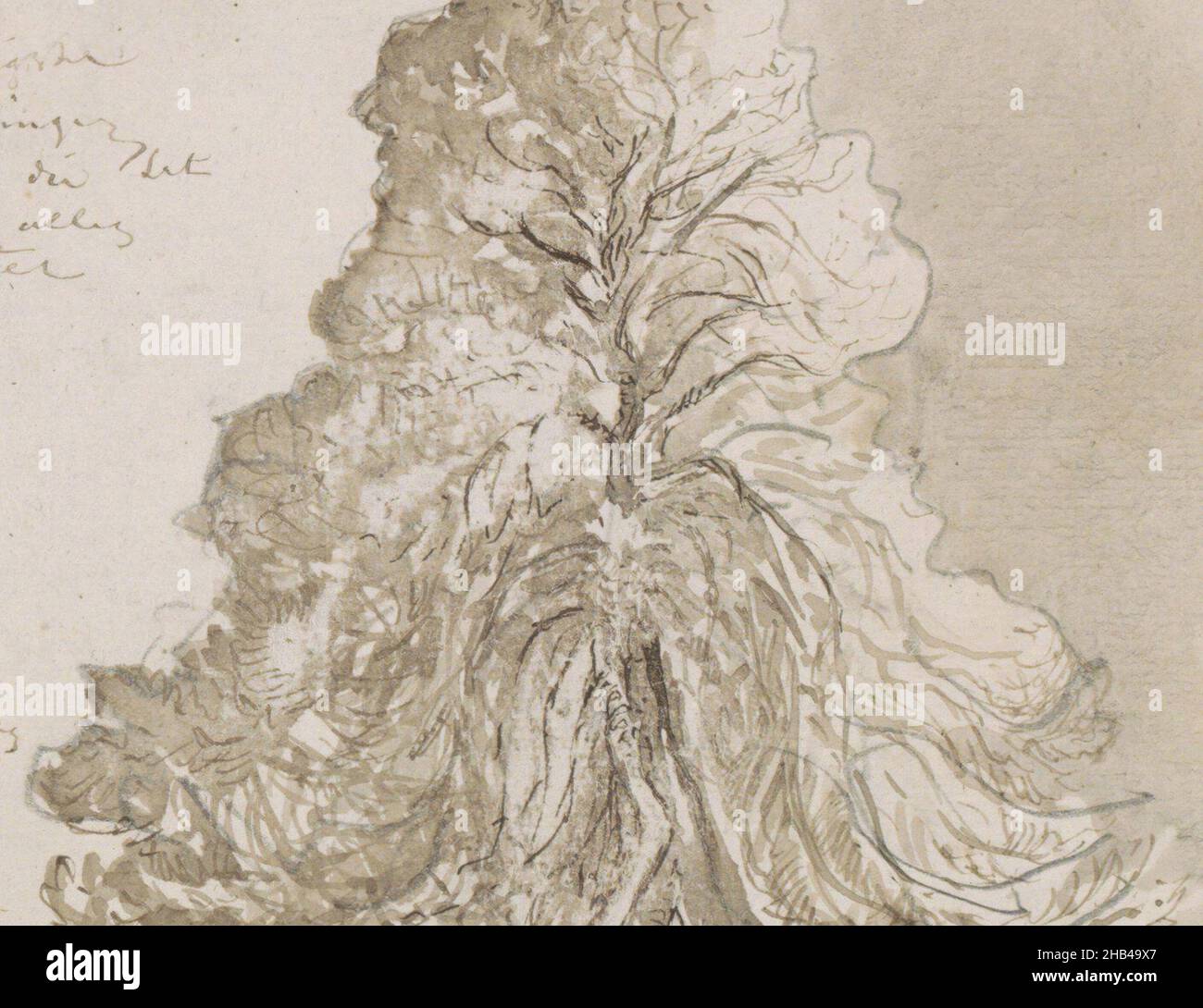 Sheet 77 verso from a sketchbook with 98 sheets, Chestnut tree on Castle Honingen in Beads ...