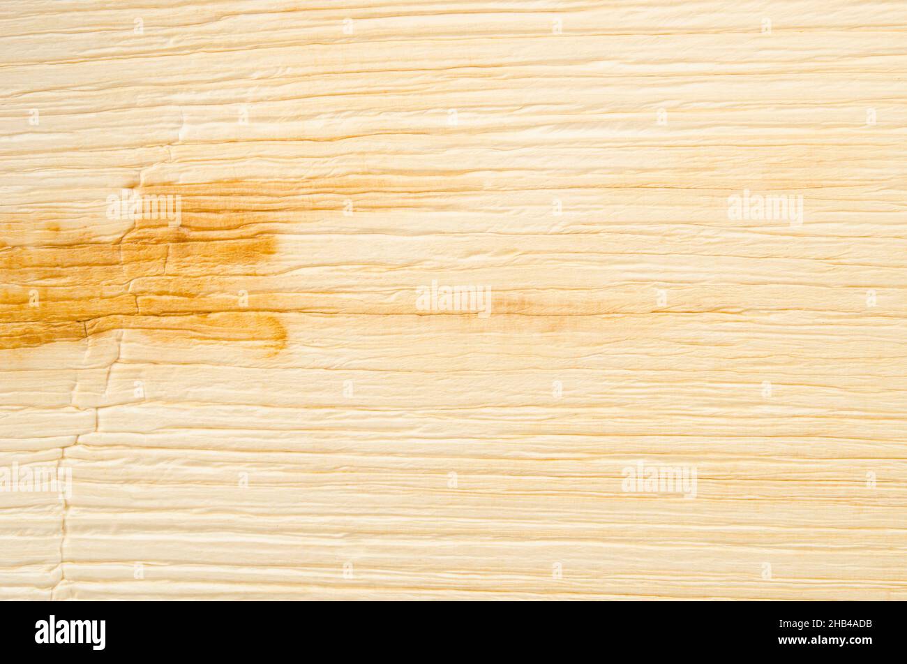 Dry betel nut leaf, palm texture as background Stock Photo - Alamy