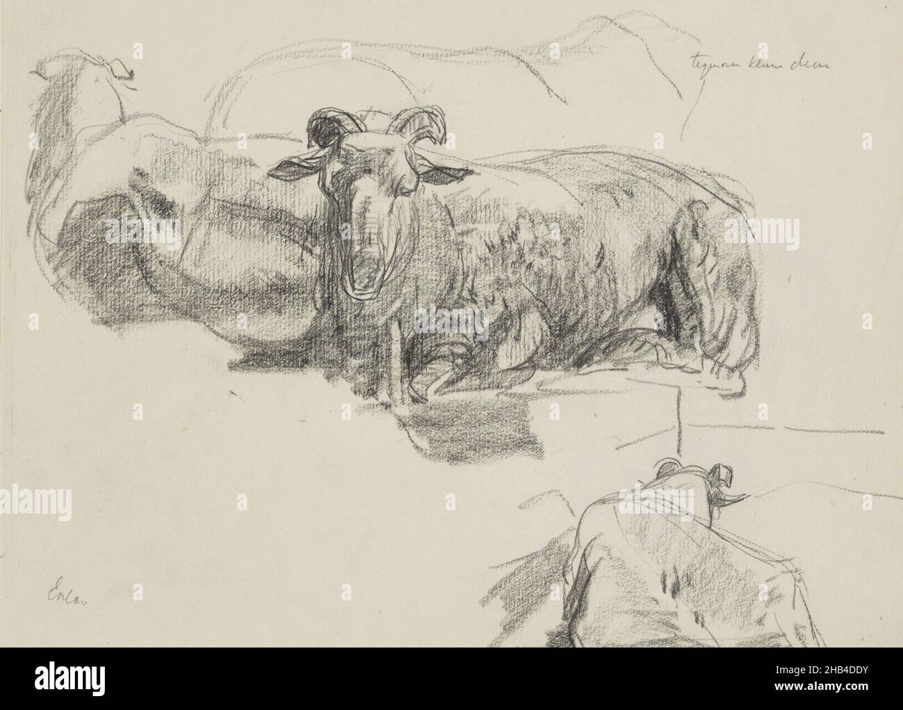 Sheet 18 recto from a sketchbook with 27 sheets, Liggende schapen te ...
