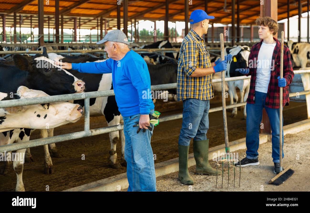Elderly care workers talking hi-res stock photography and images - Alamy