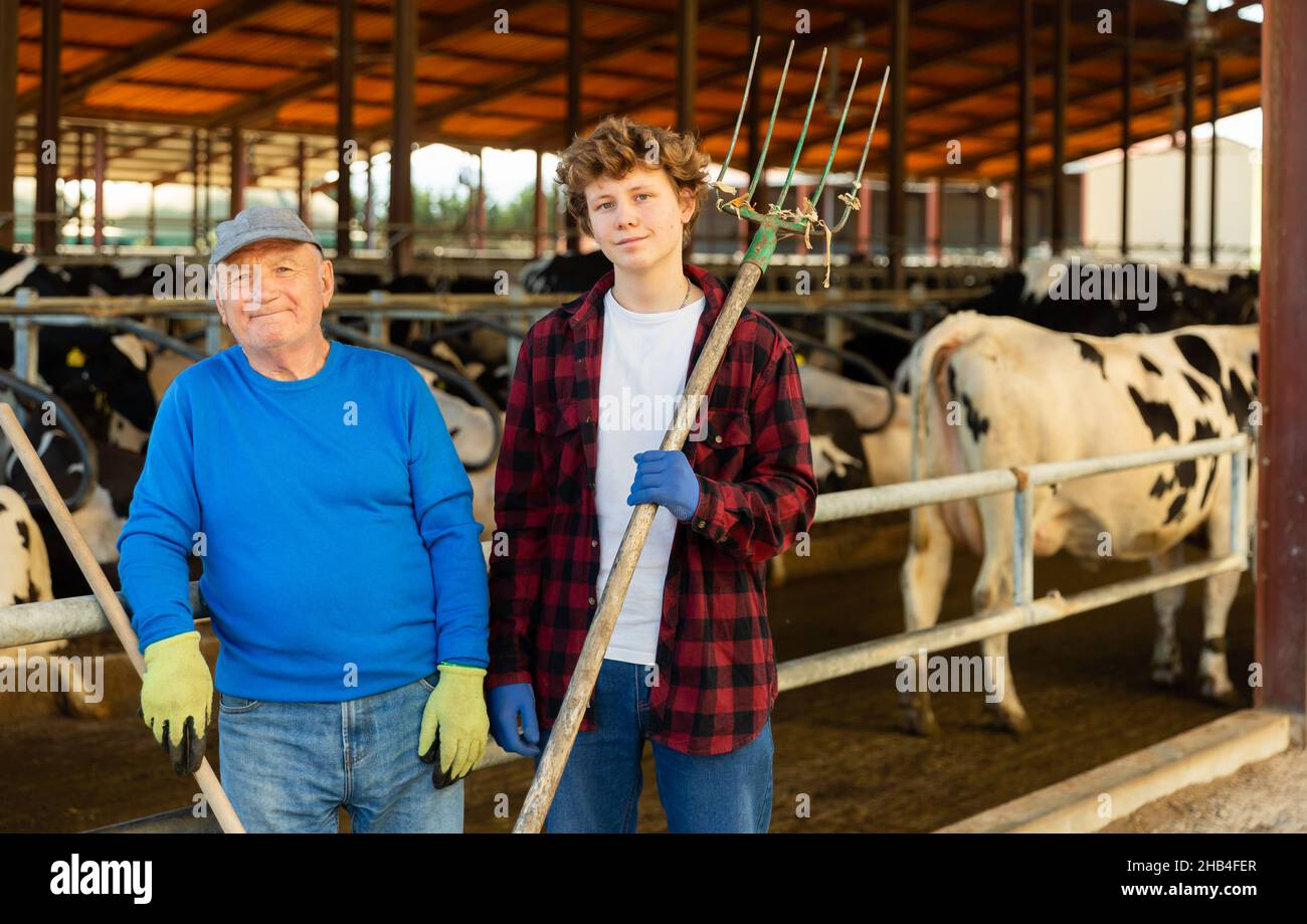 Teenage breeder hi-res stock photography and images - Alamy