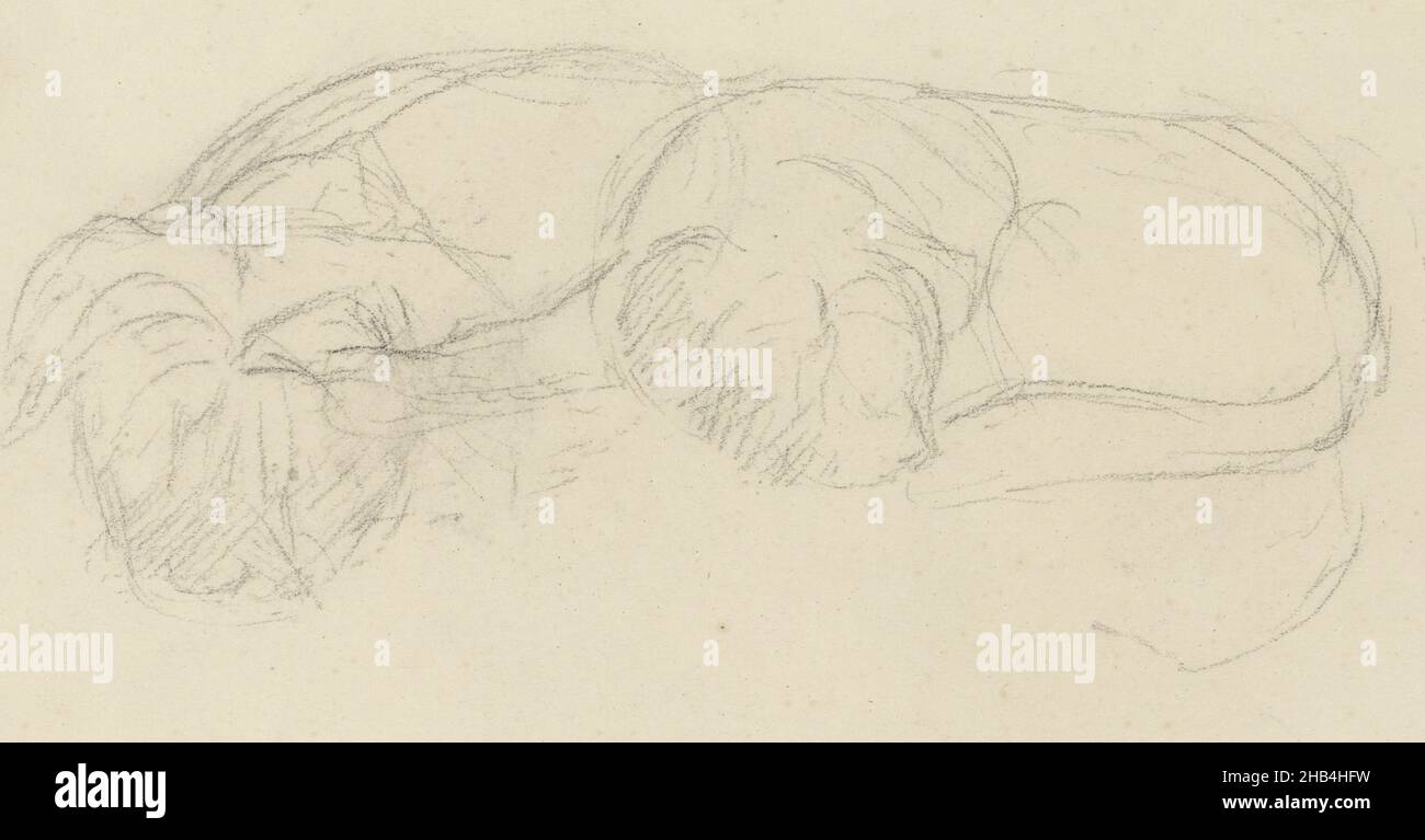 Reclining dog, Jozef Israëls, 1834 - 1911 Stock Photo - Alamy