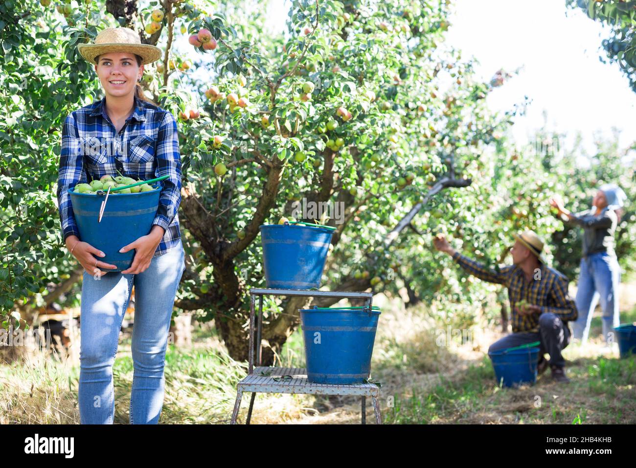 Portuguese pears hi-res stock photography and images - Alamy