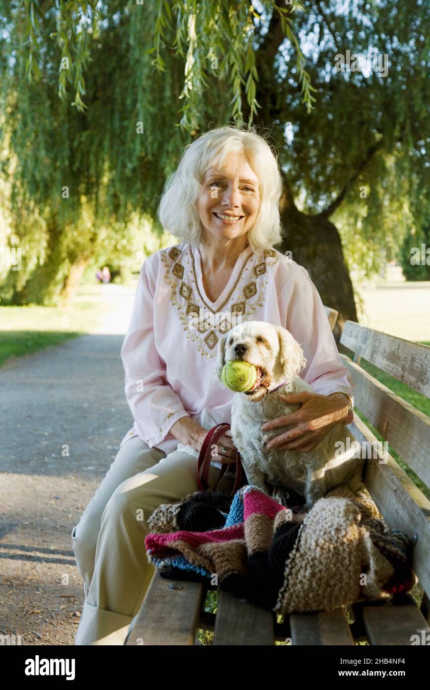 Cockapoo companion hi-res stock photography and images - Alamy