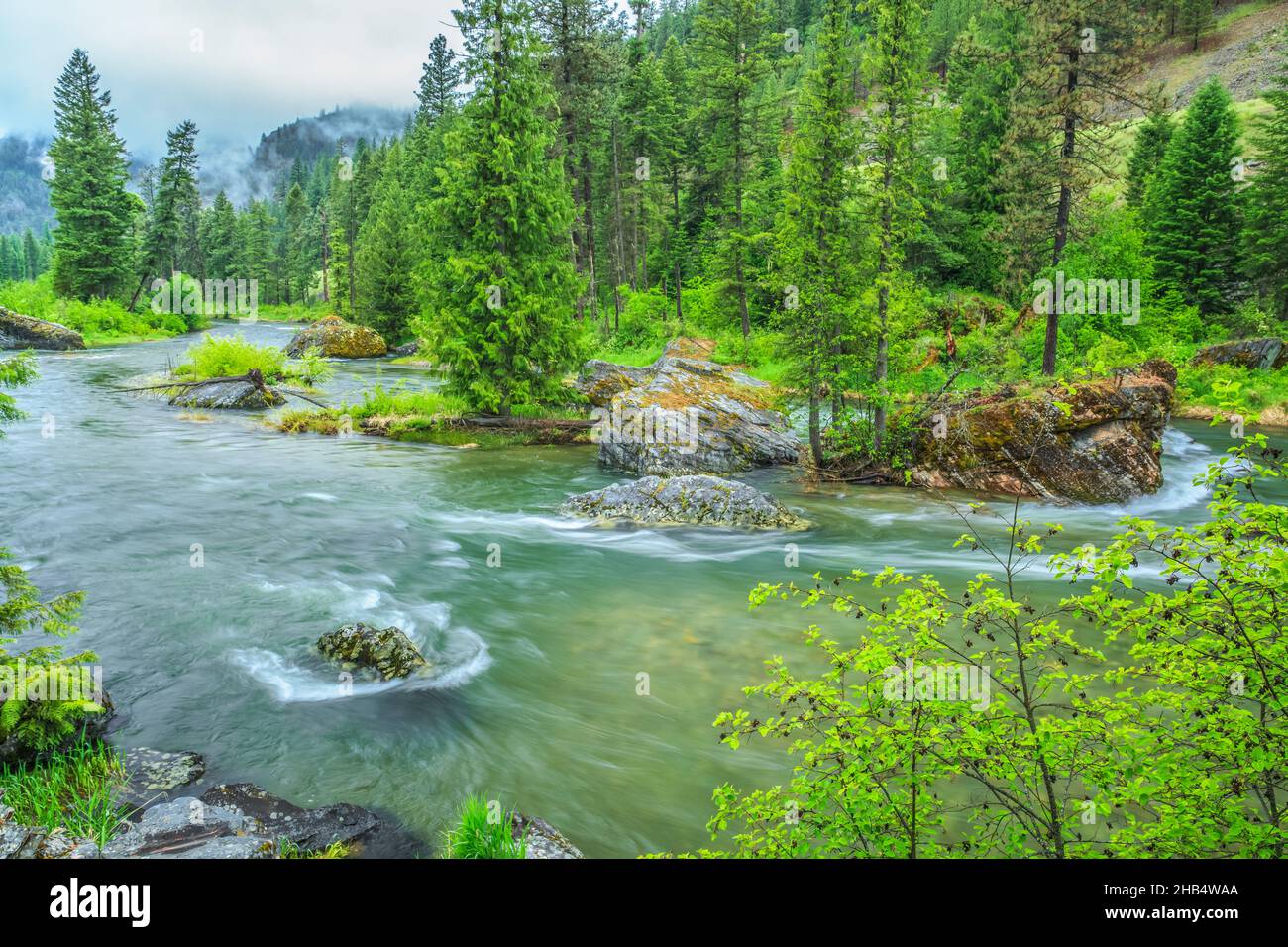 thompson river near thompson falls, montana Stock Photo - Alamy