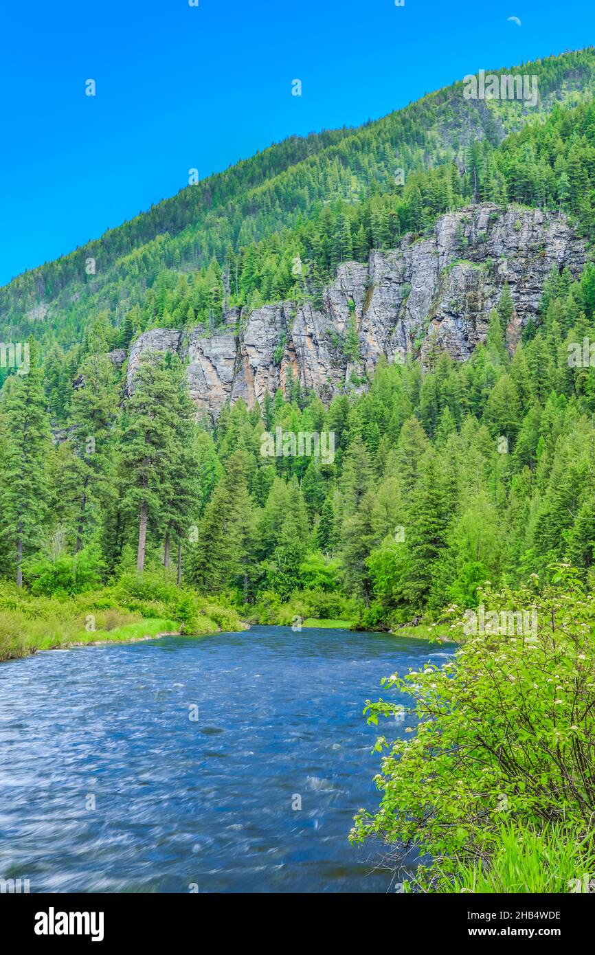 thompson river near thompson falls, montana Stock Photo - Alamy