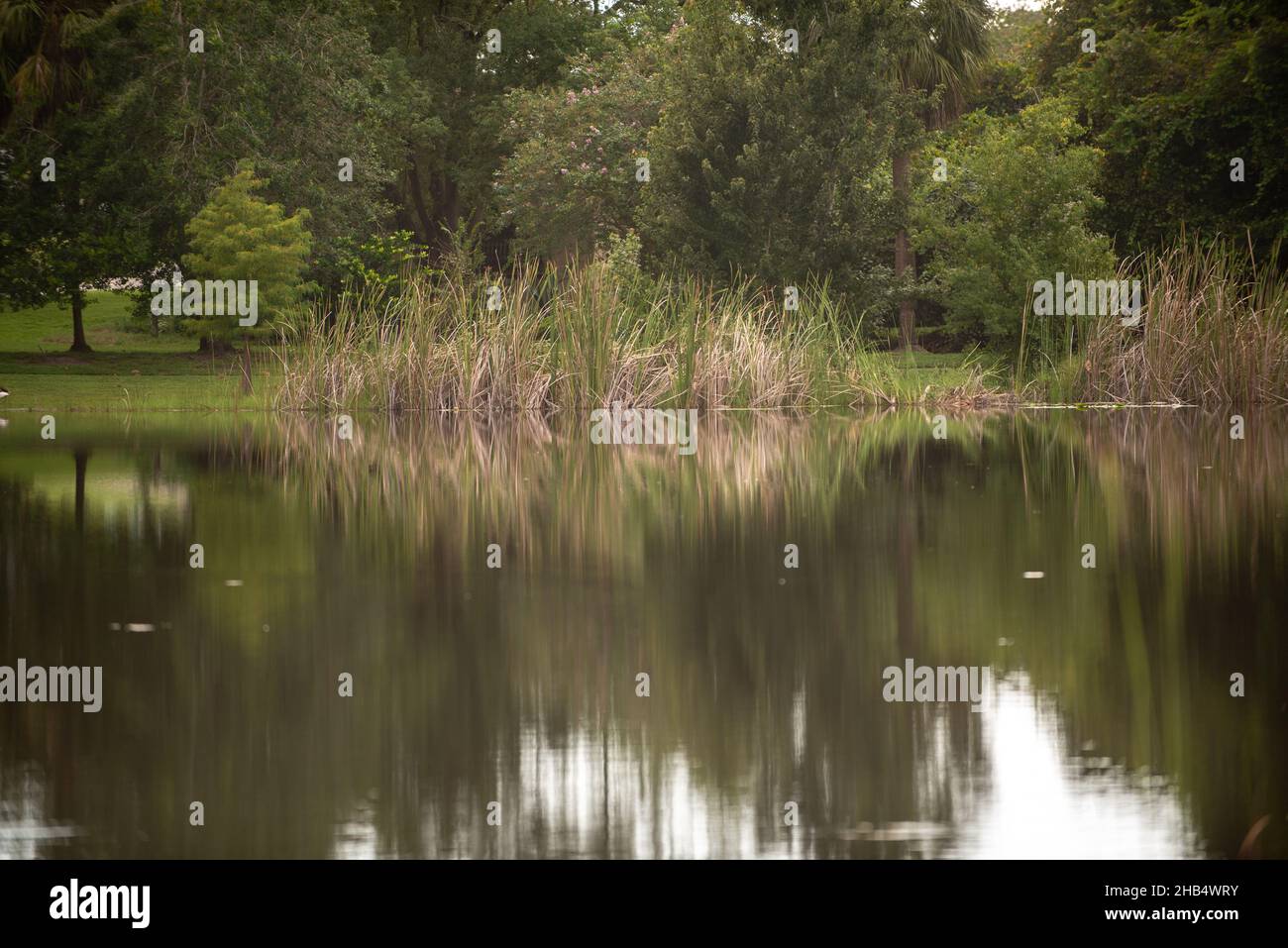 Beautiful pond in middle hi-res stock photography and images - Alamy