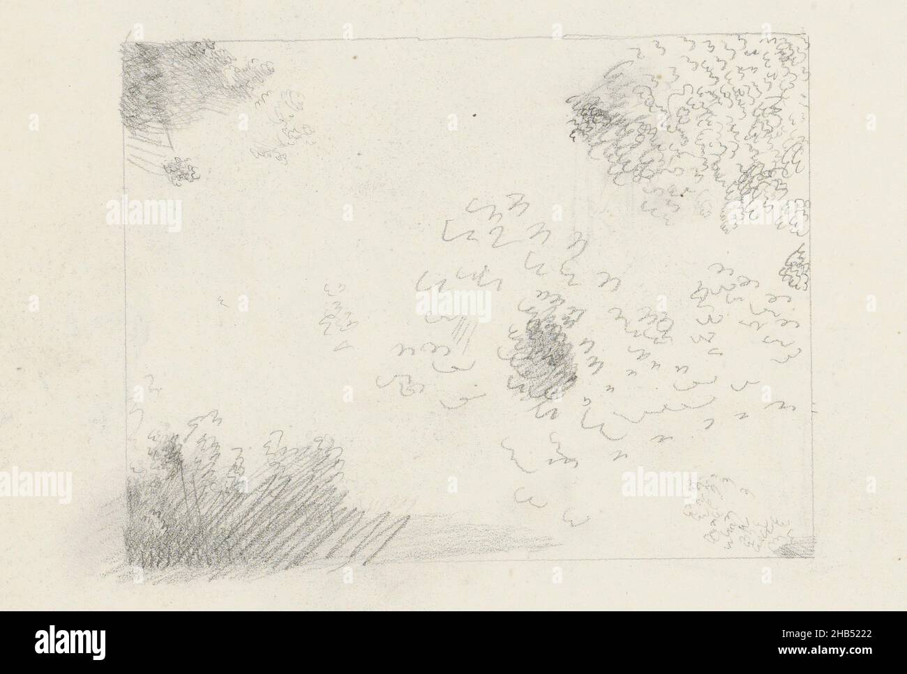 Foliage drawing hi-res stock photography and images - Alamy