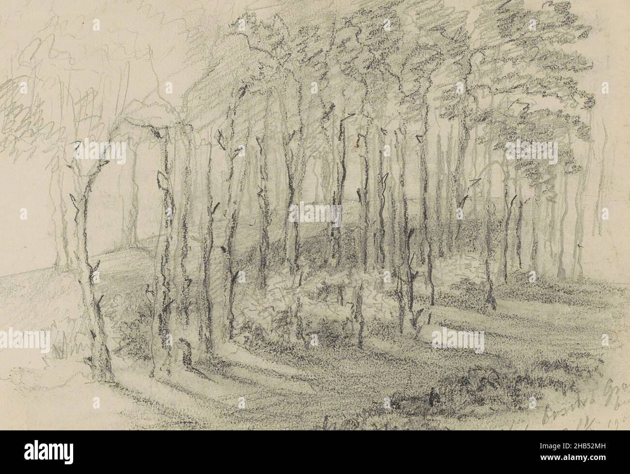 Page 16 recto from a sketchbook with 33 pages, Bos bij de Wolfsberg in ...