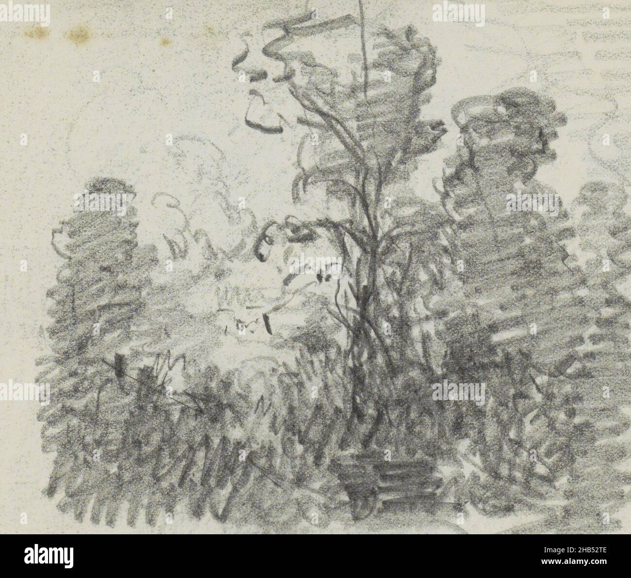 Sheet 8 verso from a sketchbook with 17 sheets, Trees, Maria Vos, 1834 ...