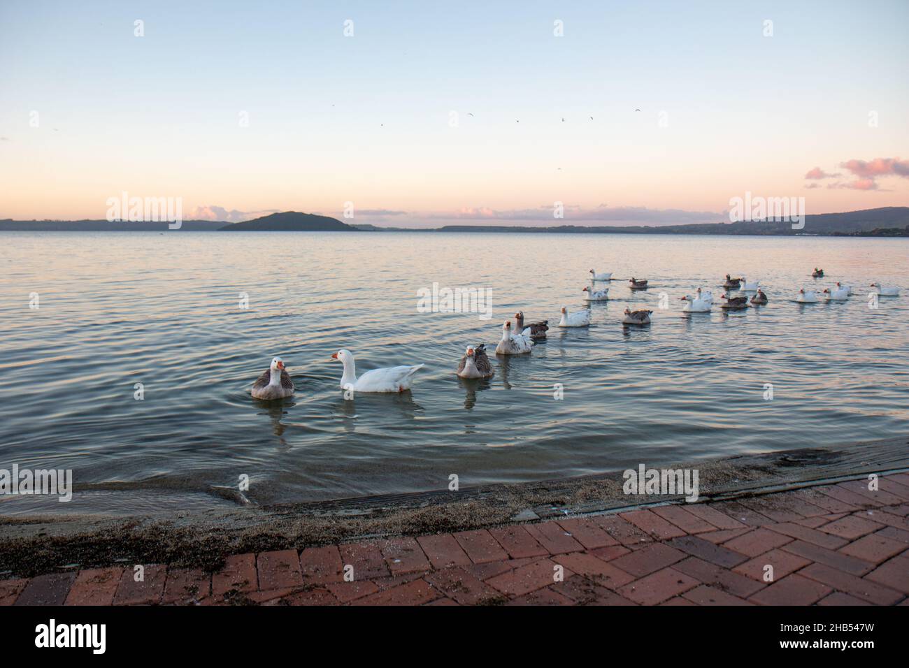 Lake rotorua hi-res stock photography and images - Alamy