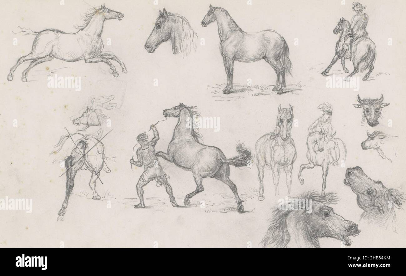 In the middle a man is holding a rearing horse. On the right two heads of cattle, study sheet ...