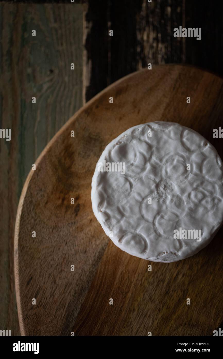 Penicillium Camemberti Mold
