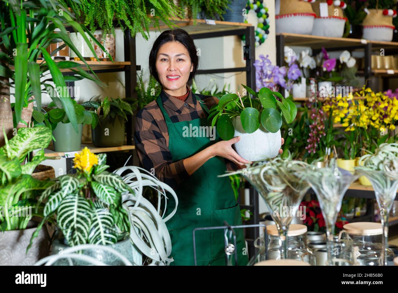 Woman plant shop worker with pot Stock Photo - Alamy