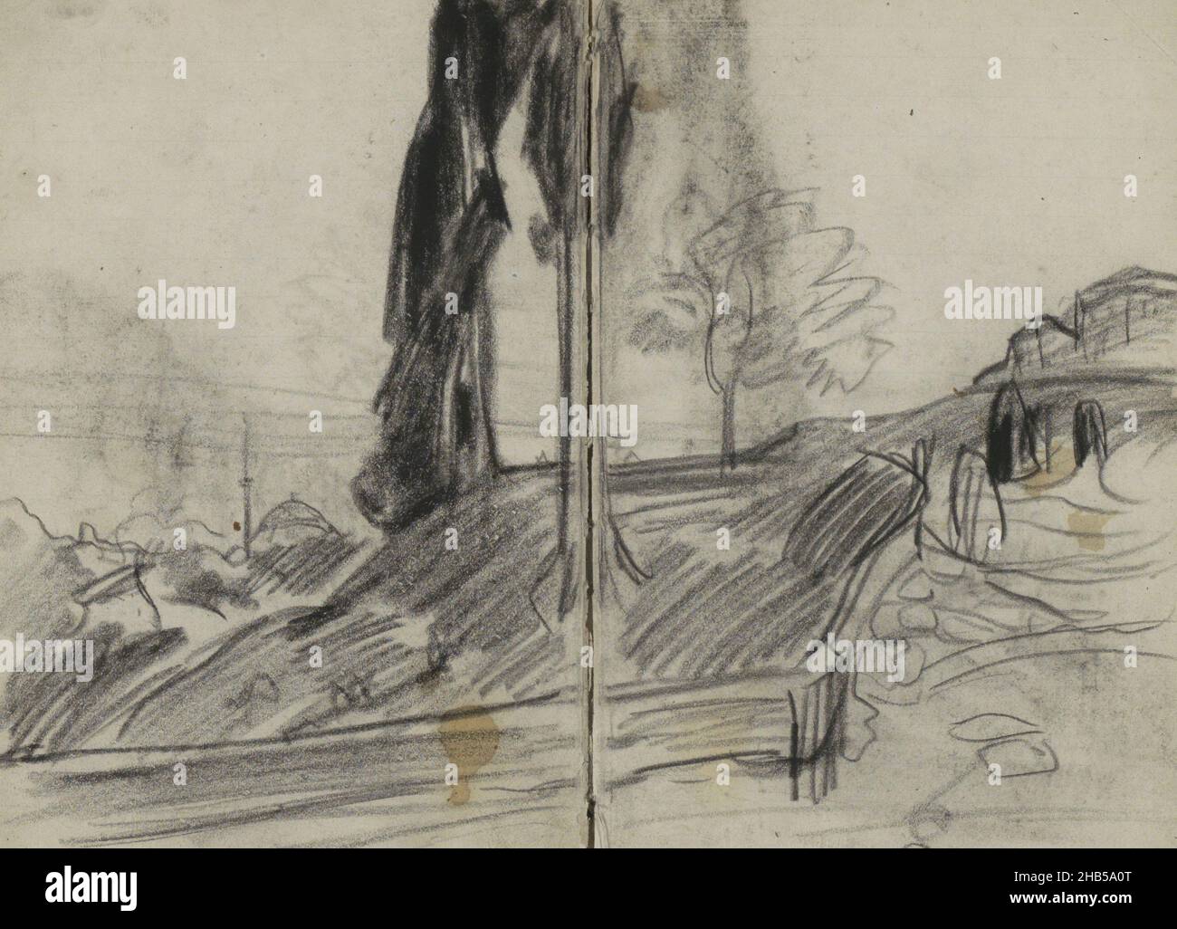 49 cypress hi-res stock photography and images - Alamy