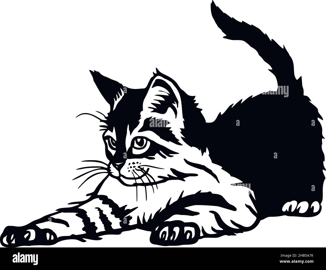 Cat, Peeking kitten - Cheerful kitty isolated on white - vector stock ...