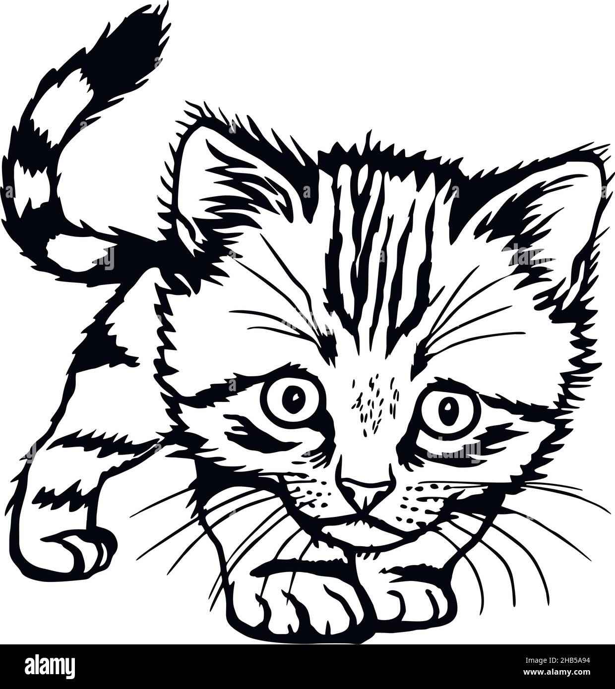 Cat, Peeking kitten - Cheerful kitty isolated on white - vector stock ...