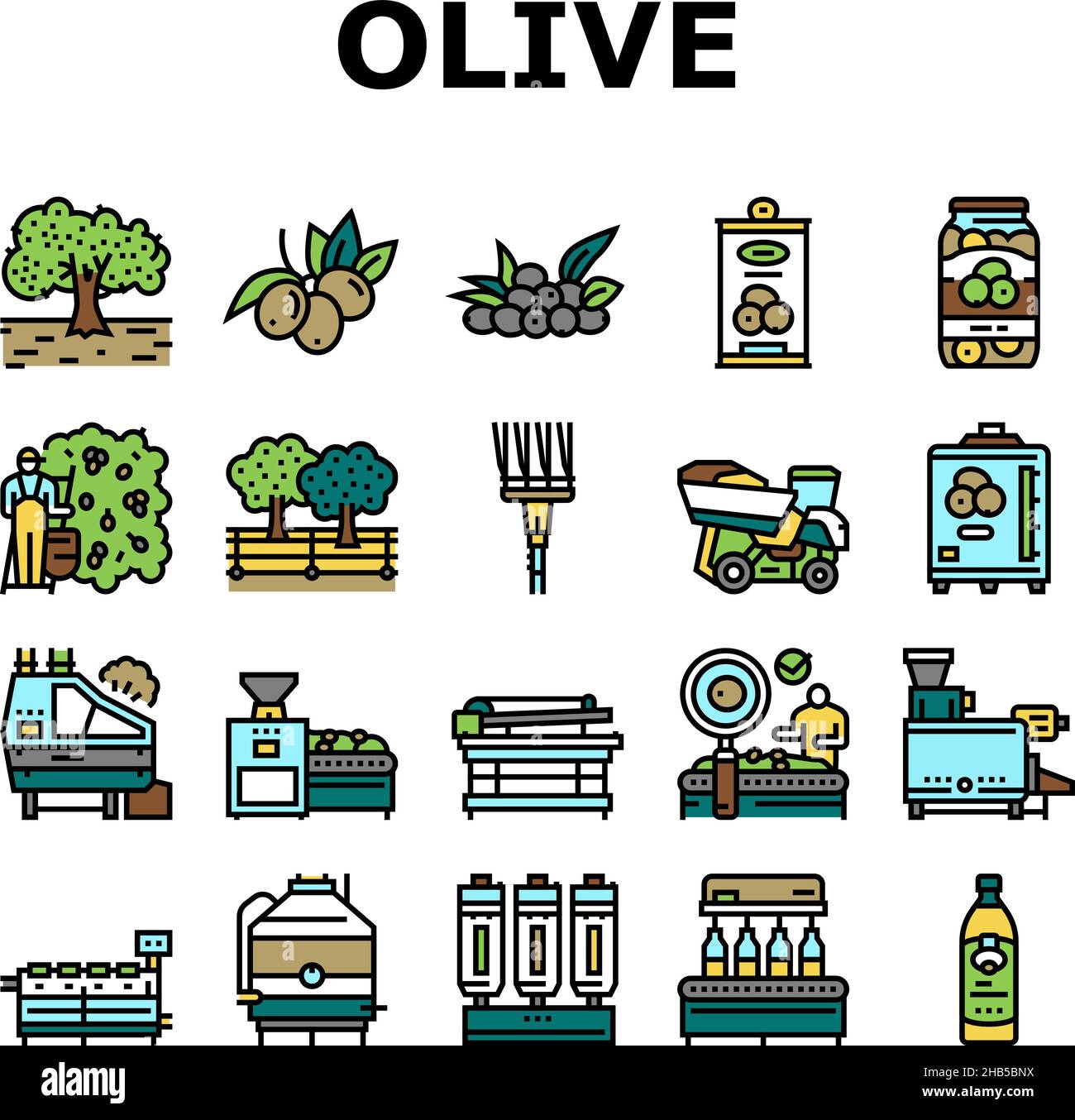 Olive Production And Harvesting Icons Set Vector Stock Vector Image ...