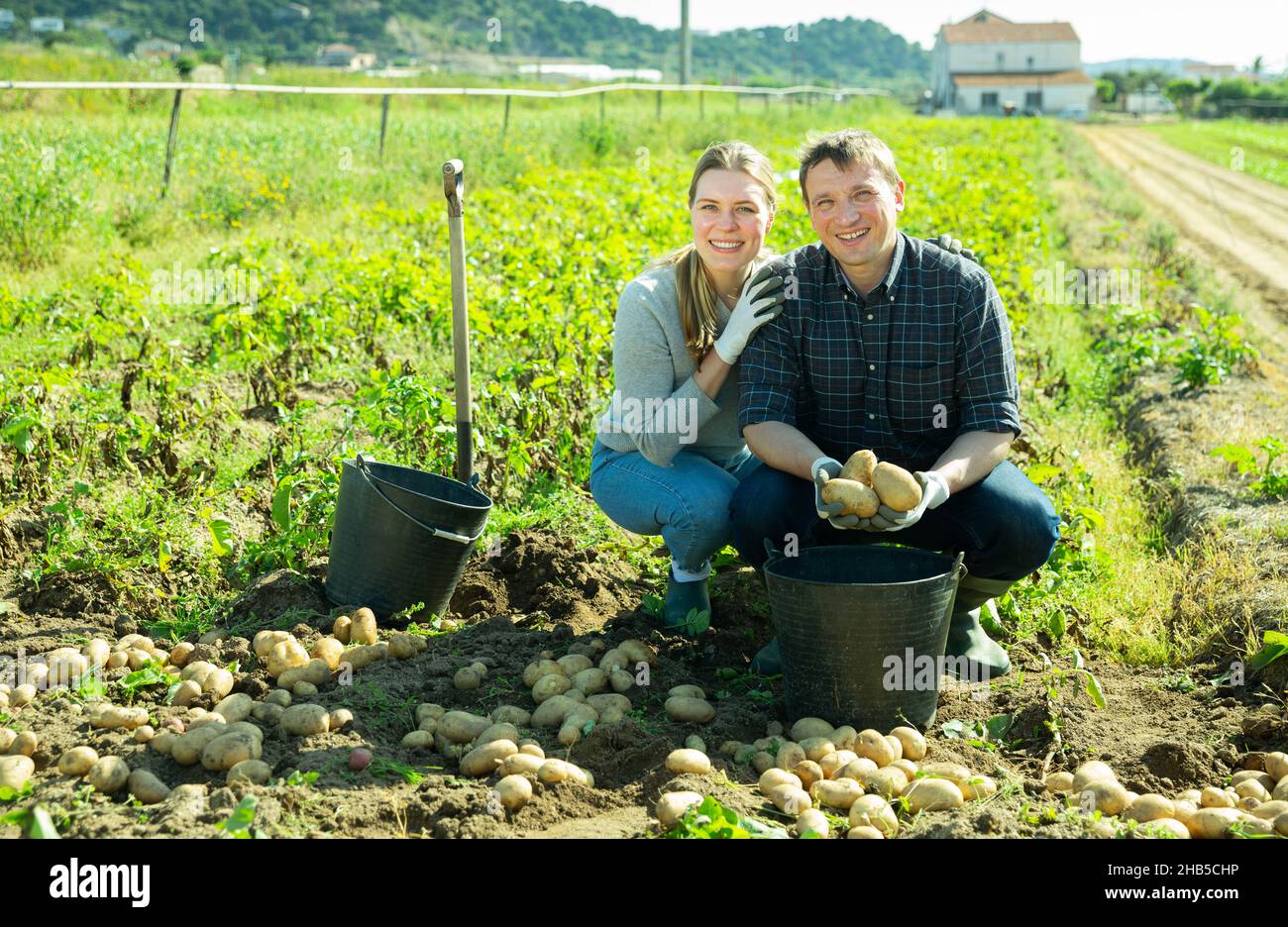 Successful farm family during potatoes harvest Stock Photo - Alamy