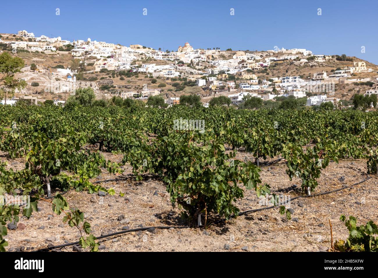 Arcytico hi-res stock photography and images - Alamy