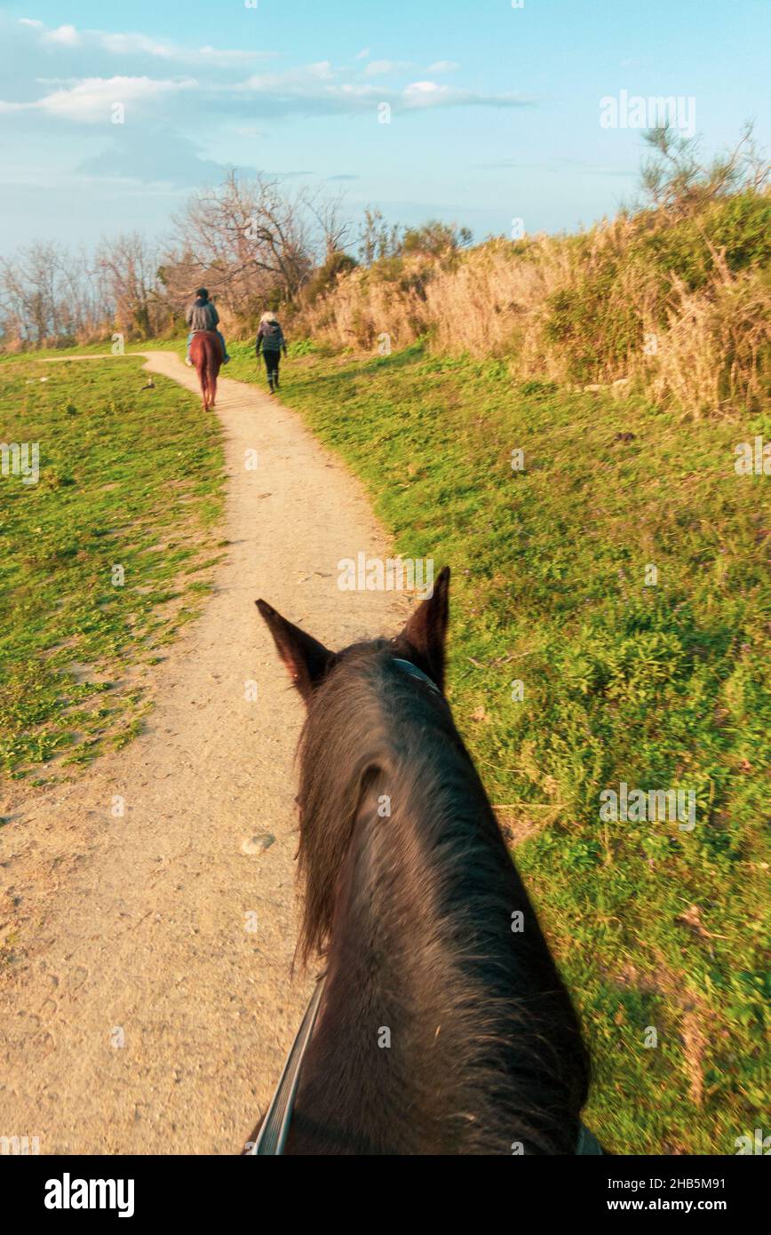 Vertical shot of people riding horses Stock Photo - Alamy
