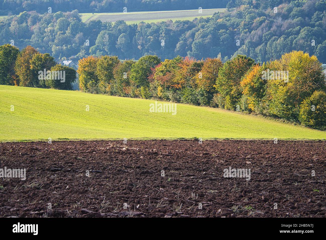 landscape with hills, fields, meadows, and agriculture. Hiking in ...