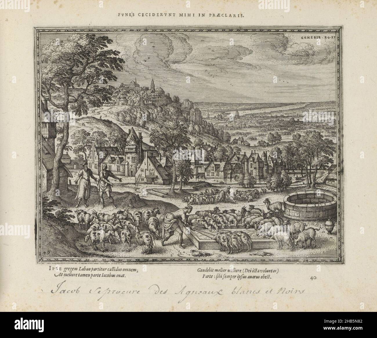 Jacob puts peeled off branches in the water troughs of the sheep, Funes ...