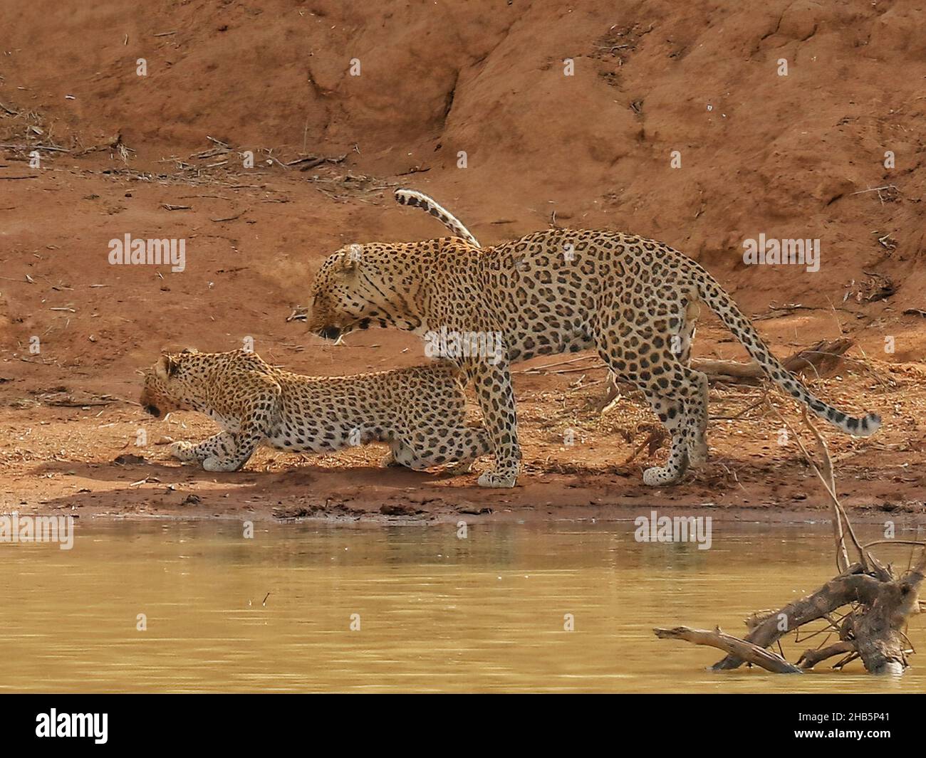 These pictures were taken by local teacher Johan Wandrag (56). BOJANALA ...