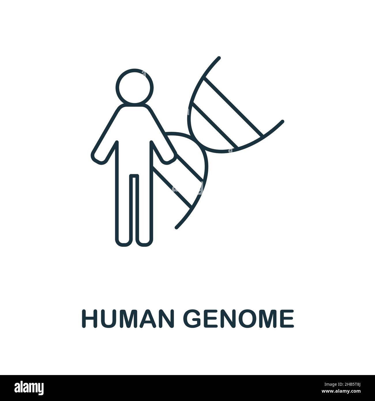 Human Genome icon. Line element from bioengineering collection. Linear ...