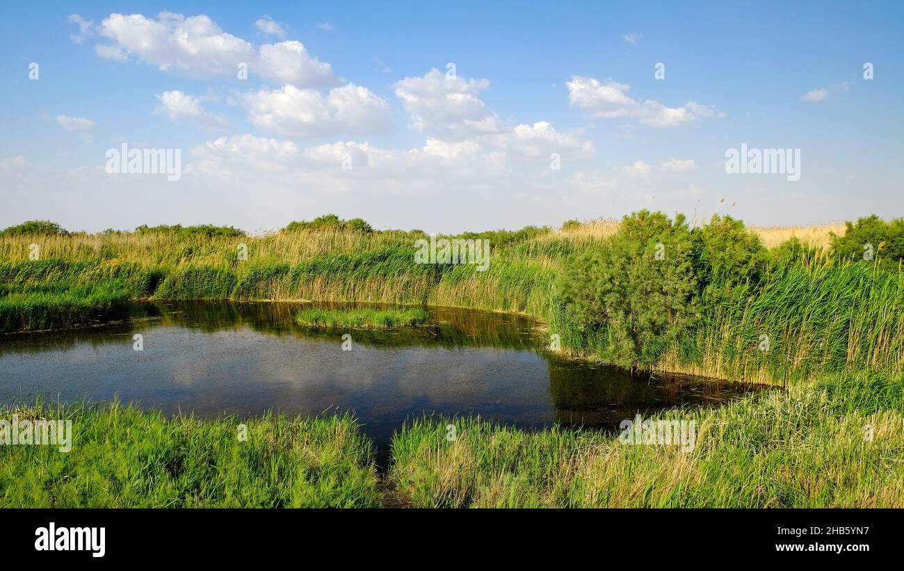 Azraq jordan nature reserve hi-res stock photography and images - Alamy