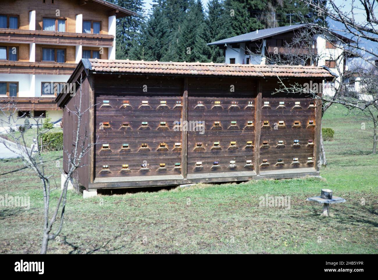 Bee house housing multiple bee hives in one wooden structure shed ...