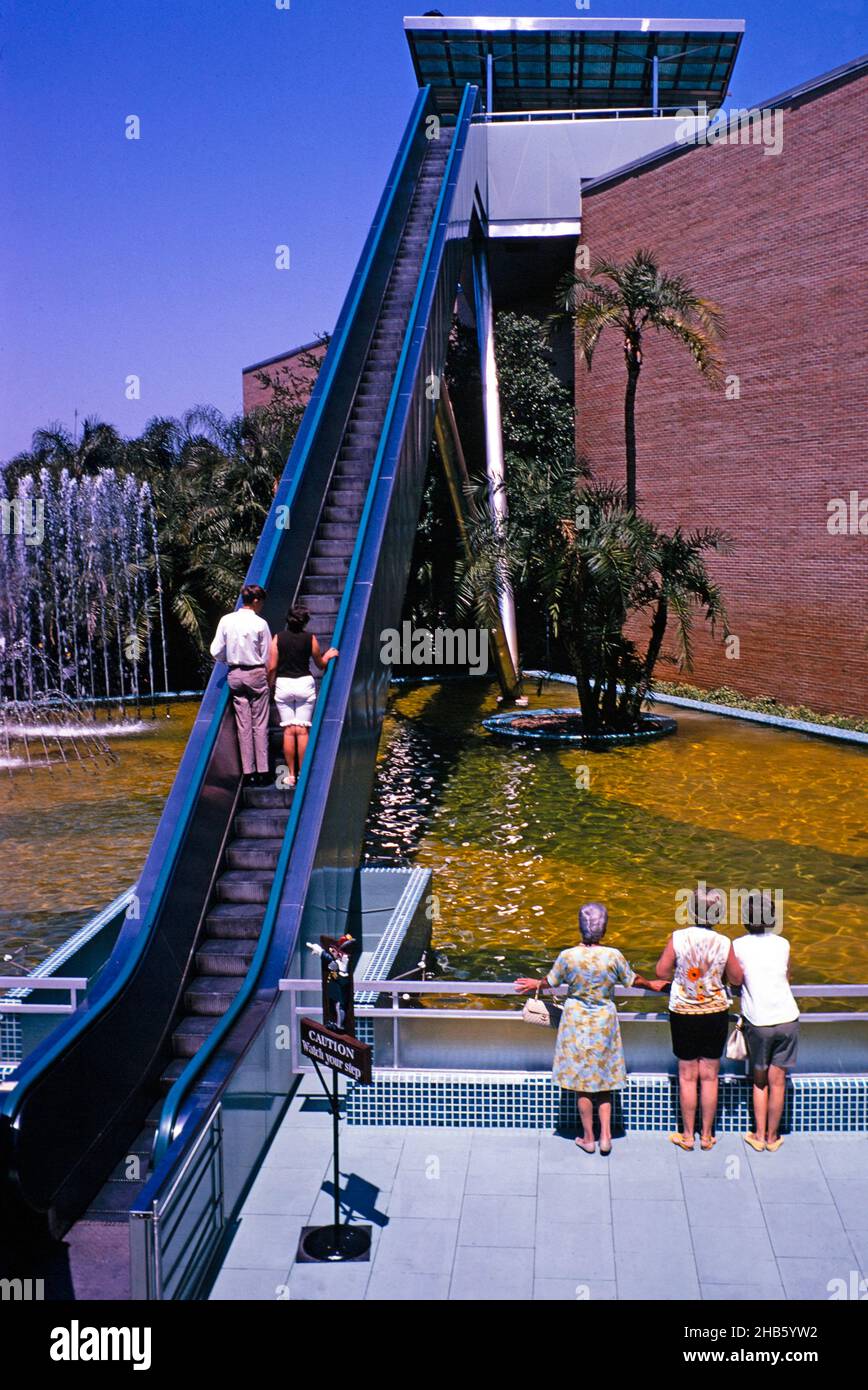 People on outdoor escalator rising above pools of water and palm trees ...