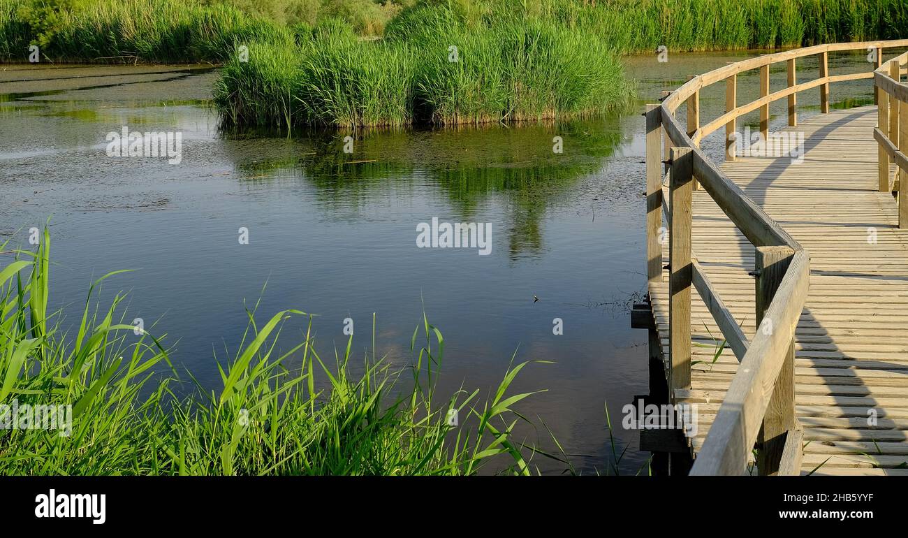Scenery of the Azraq Wetlands Reserve in the town of Azraq in the ...