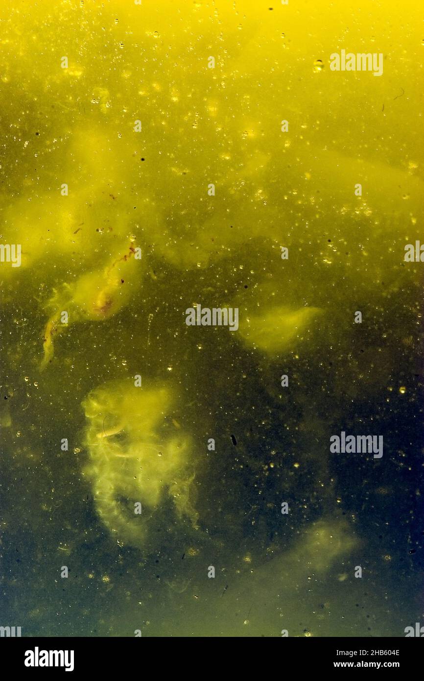 Vertical shot of yellow dirty liquid Stock Photo - Alamy