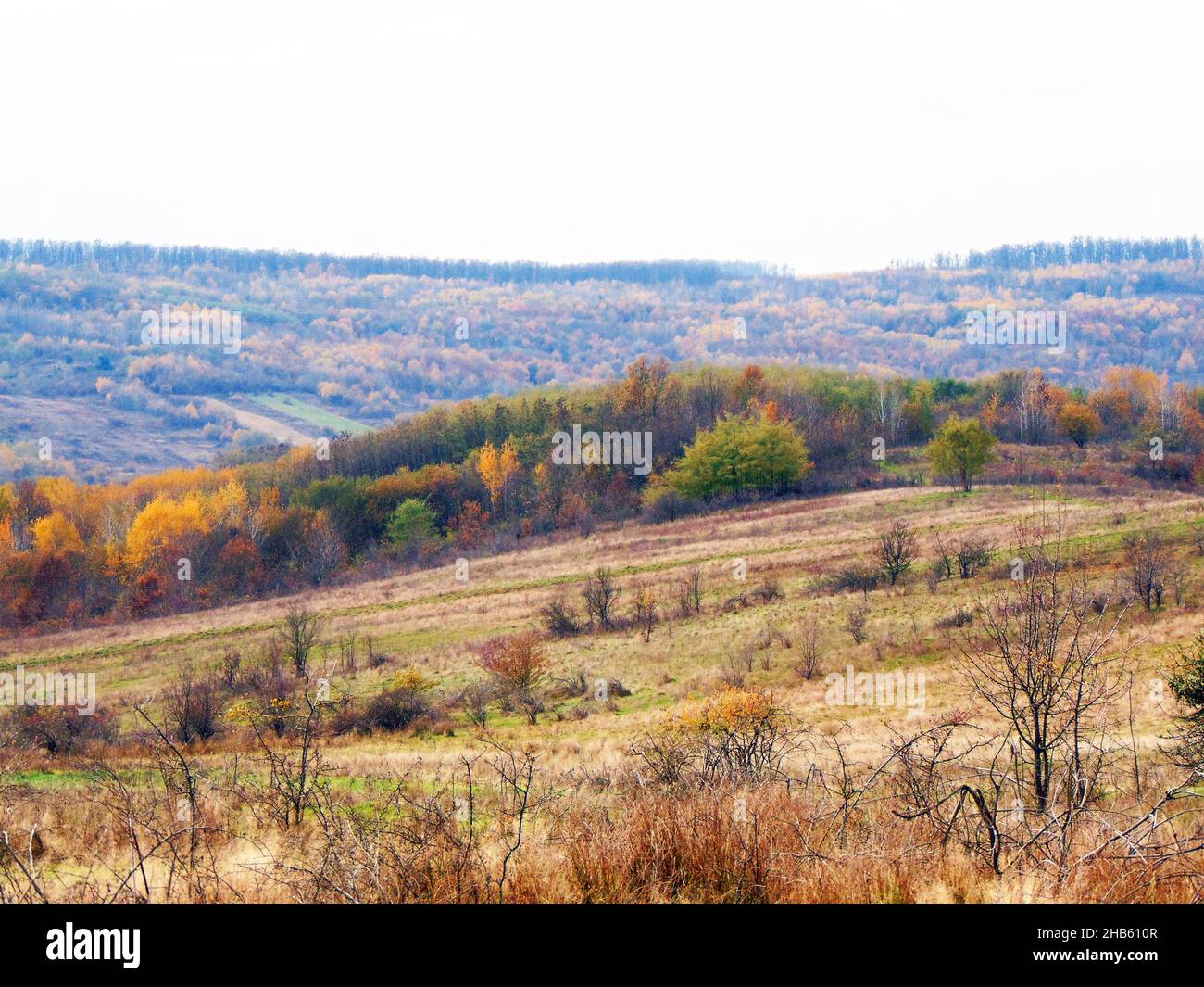In autumn in Maramures county Stock Photo - Alamy