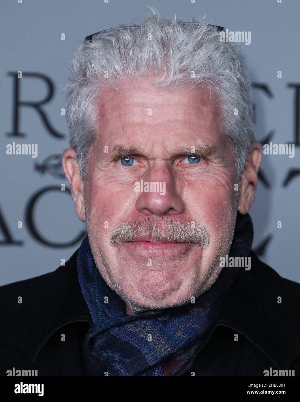 LOS ANGELES, CALIFORNIA, USA - DECEMBER 16: American actor Ron Perlman ...