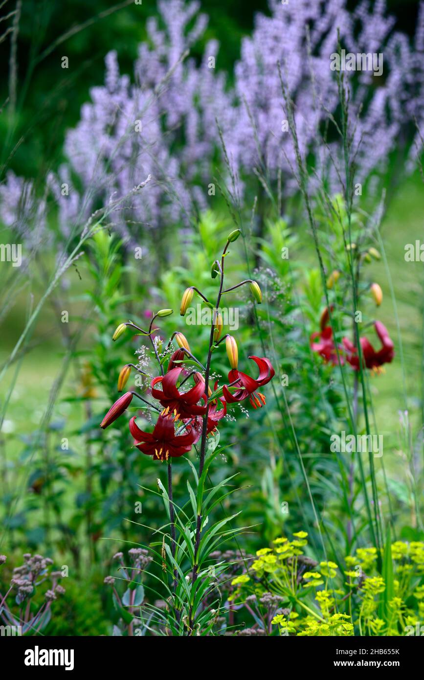 Red velvet borders hi-res stock photography and images - Alamy
