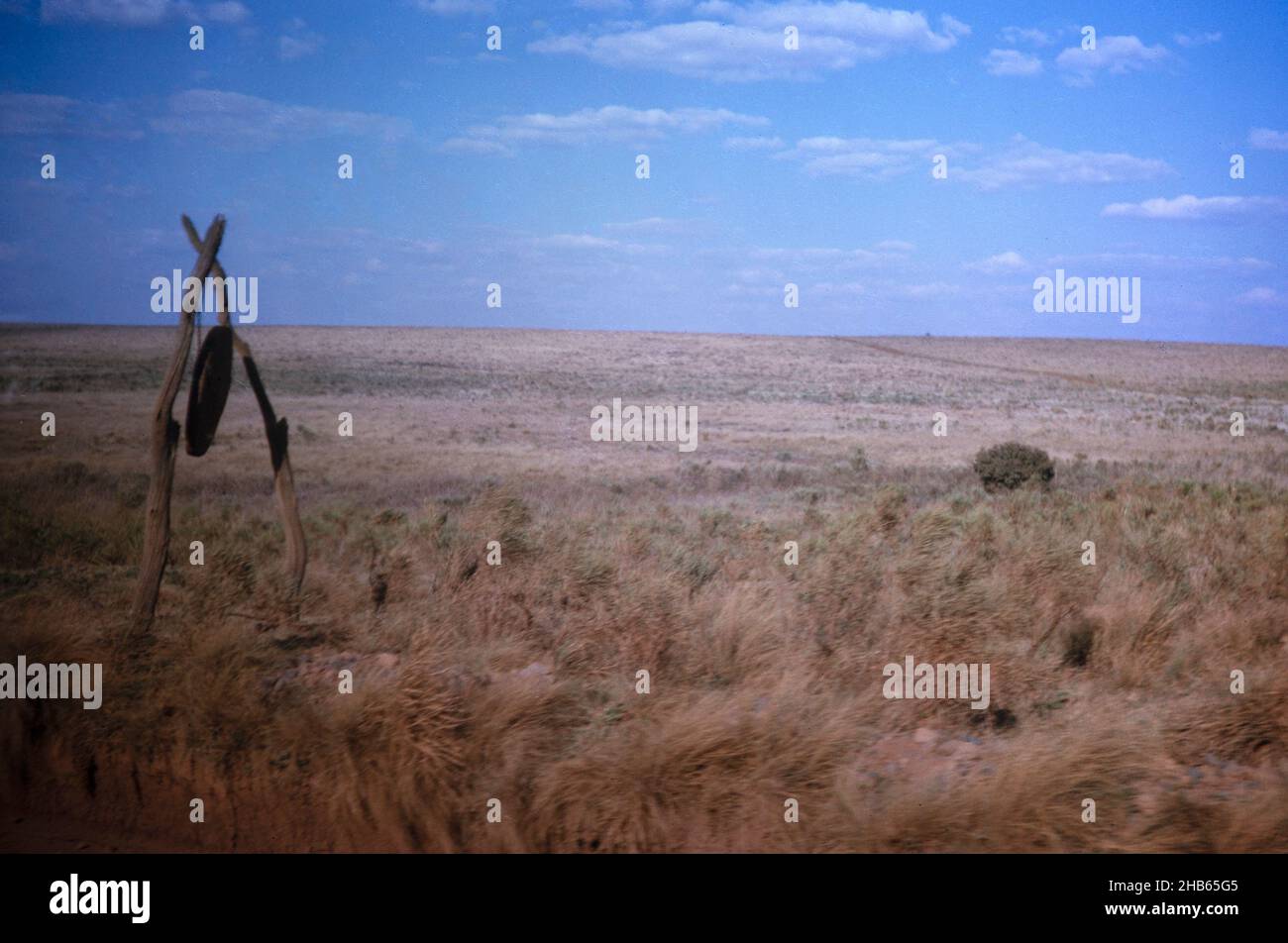 Wide open grassland landscape extensive cattle ranching, Parana State ...