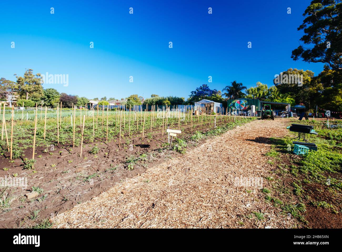 Urban Garden Plot in Australia Stock Photo - Alamy