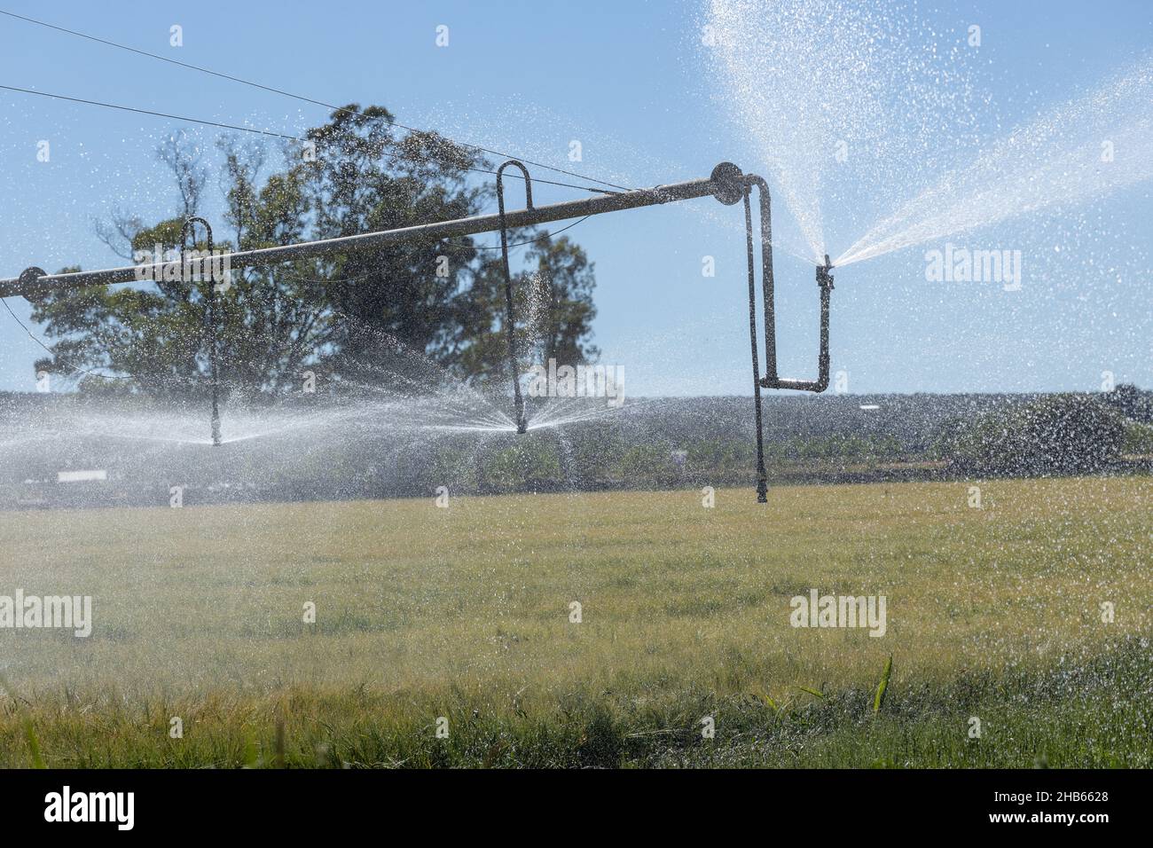 Groundwater irrigation hi-res stock photography and images - Alamy