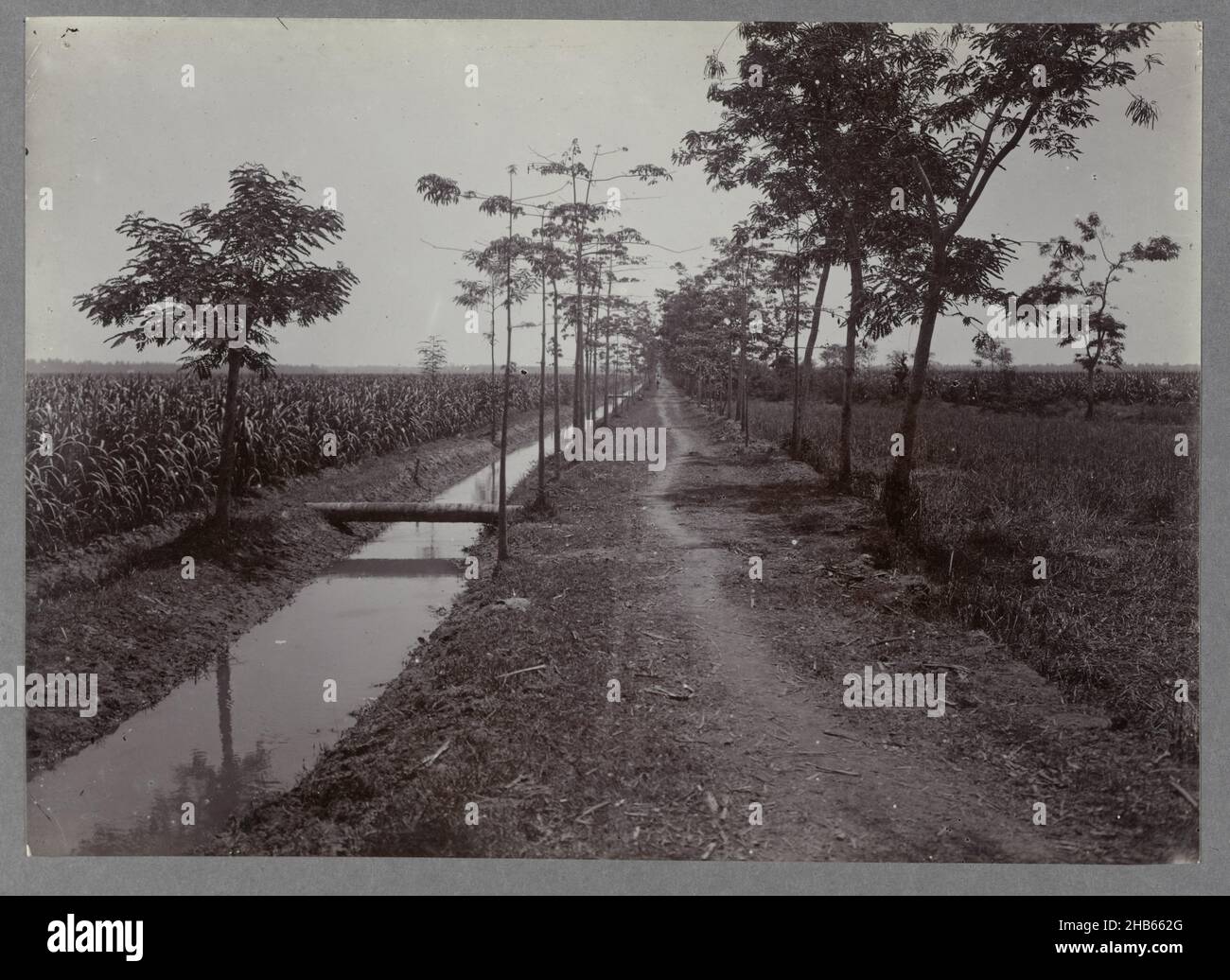 Height 173 mm width 123 mm hi-res stock photography and images - Alamy