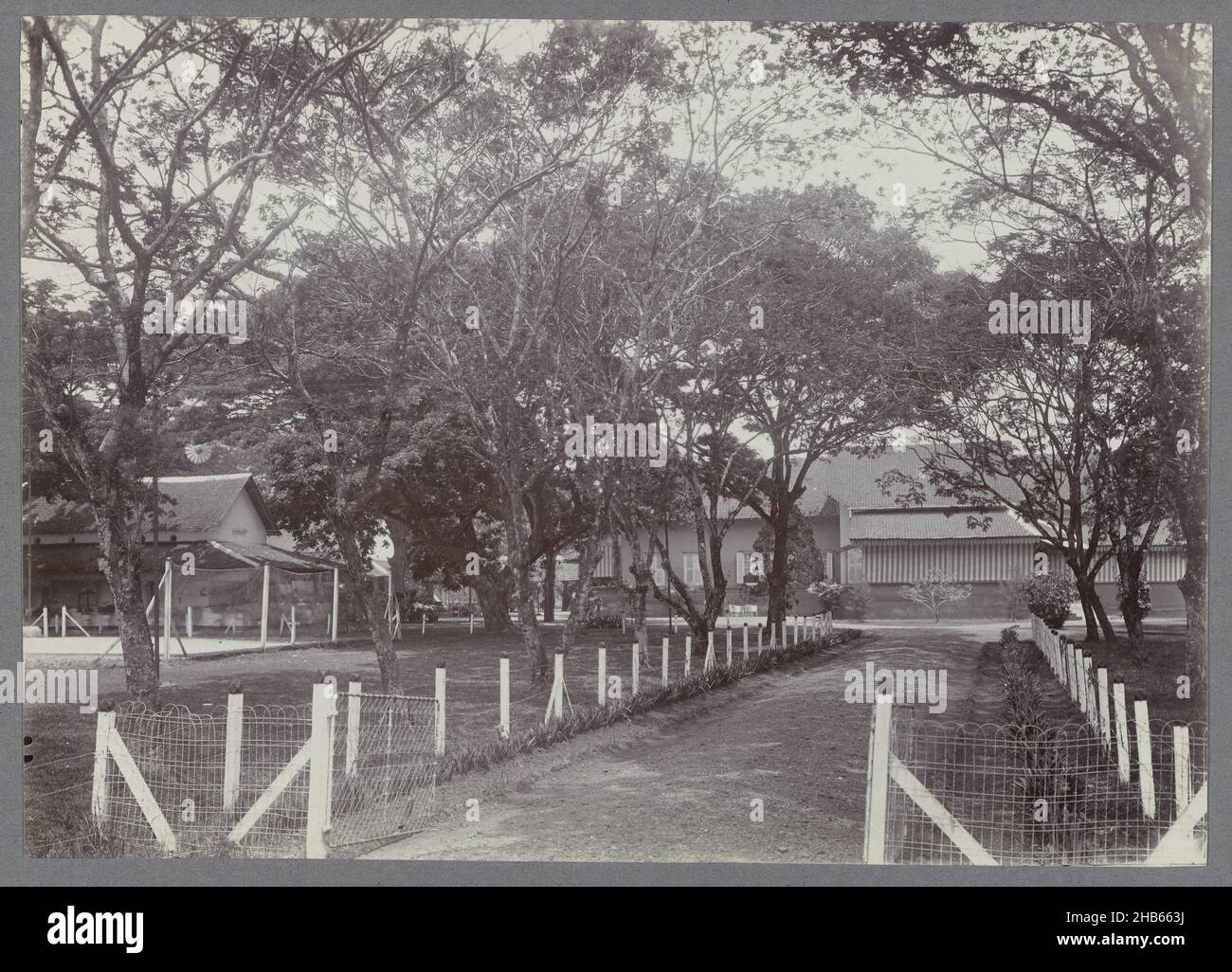Buildings among trees, Various buildings among trees, belonging to the ...
