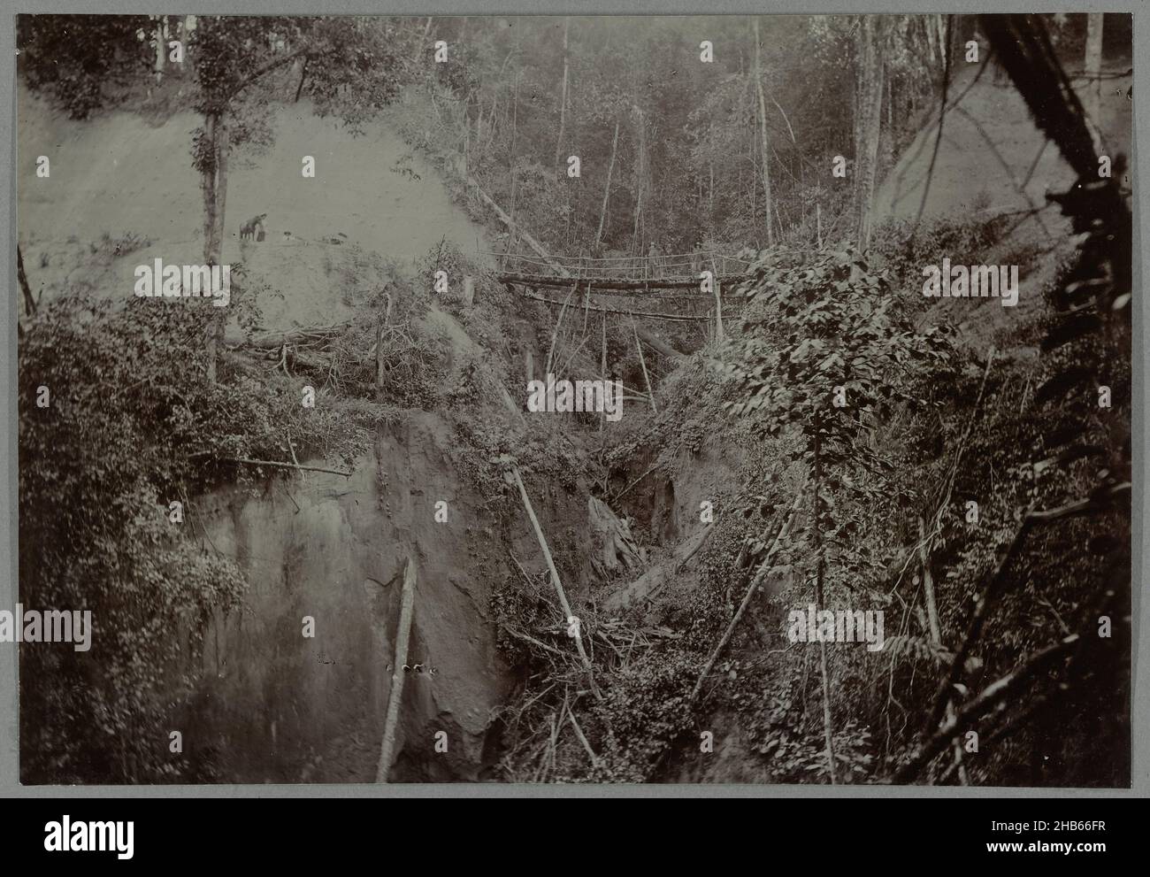 Bridge over ravine hi-res stock photography and images - Alamy